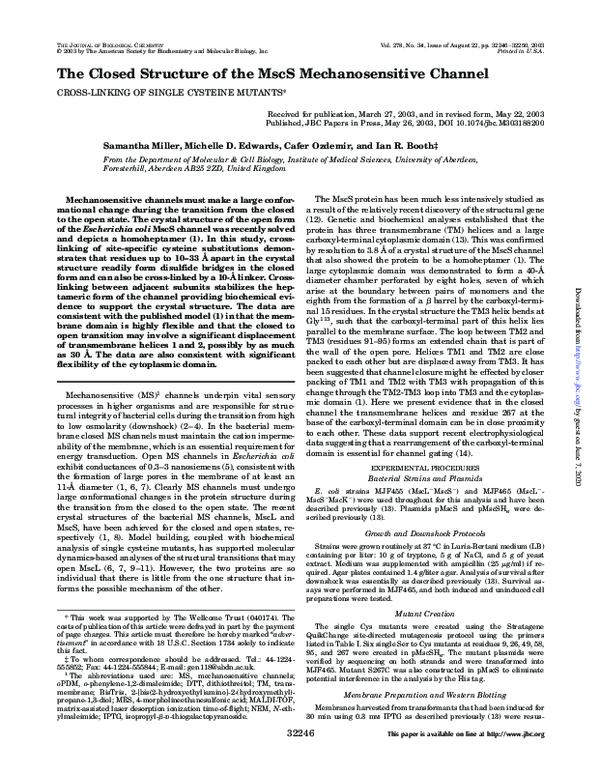 (PDF) The Closed Structure of the MscS Mechanosensitive Channel | Caner ...