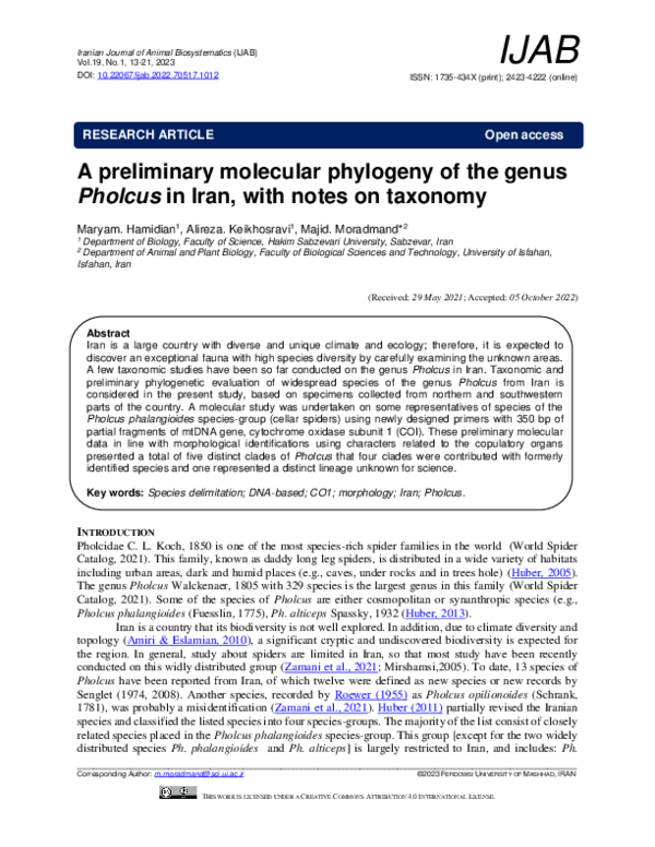 (PDF) A preliminary molecular phylogeny of the genus Pholcus in Iran ...