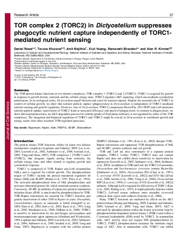 (PDF) TOR complex 2 (TORC2) in Dictyostelium suppresses phagocytic ...