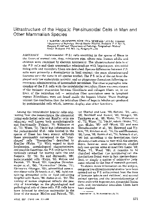 (PDF) Ultrastructure of the hepatic perisinusoidal cells in man and ...
