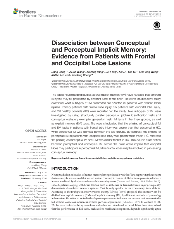 (PDF) Dissociation between conceptual and perceptual new-association ...