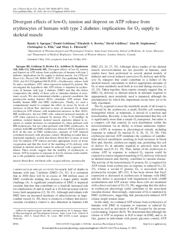 (PDF) Divergent effects of low-O 2 tension and iloprost on ATP release ...