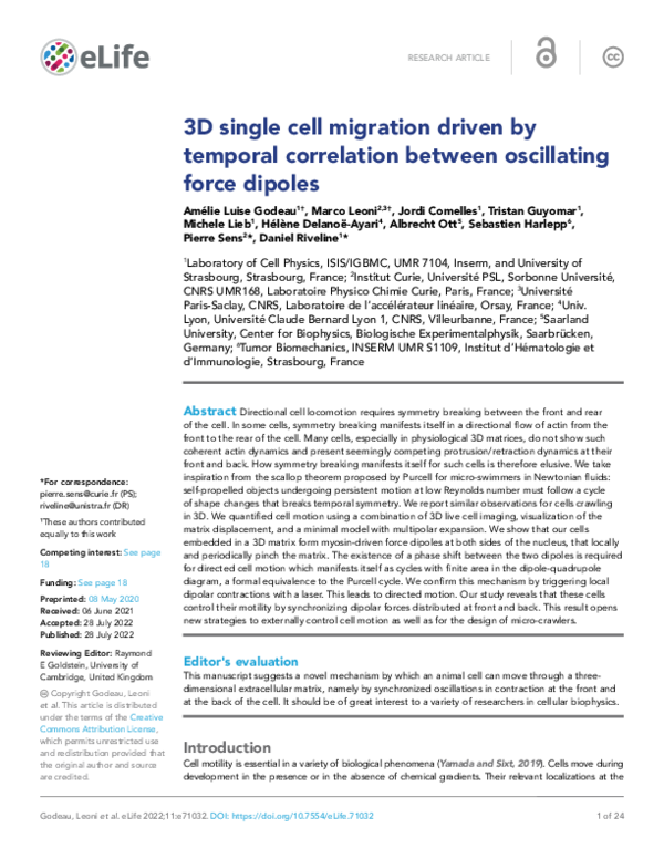 (PDF) 3D single cell migration driven by temporal correlation between ...