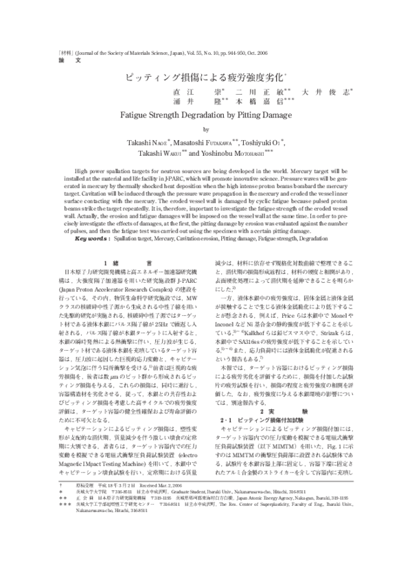 (PDF) Fatigue Strength Degradation by Pitting Damage