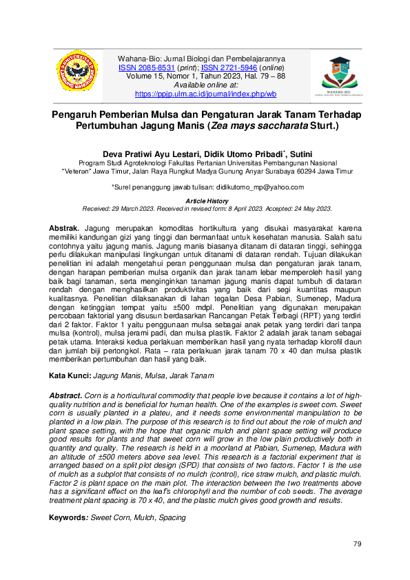 (PDF) Pengaruh Pemberian Mulsa dan Pengaturan Jarak Tanam Terhadap Pertumbuhan Jagung Manis (Zea ...