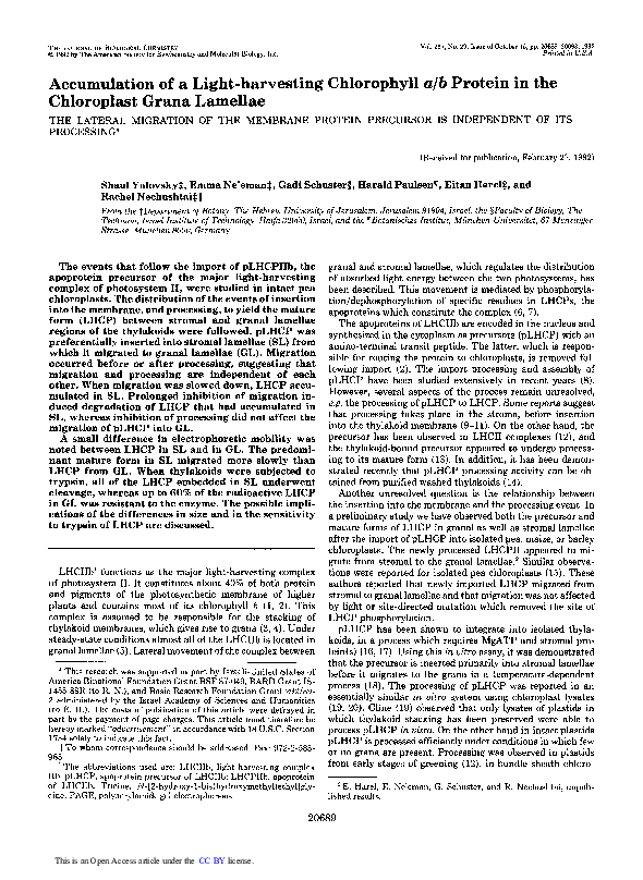 (PDF) Accumulation of a light-harvesting chlorophyll a/b protein in the ...