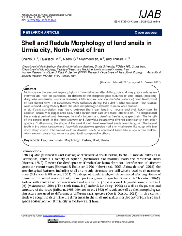 (PDF) Shell and Radula Morphology of land snails in Urmia city, North ...
