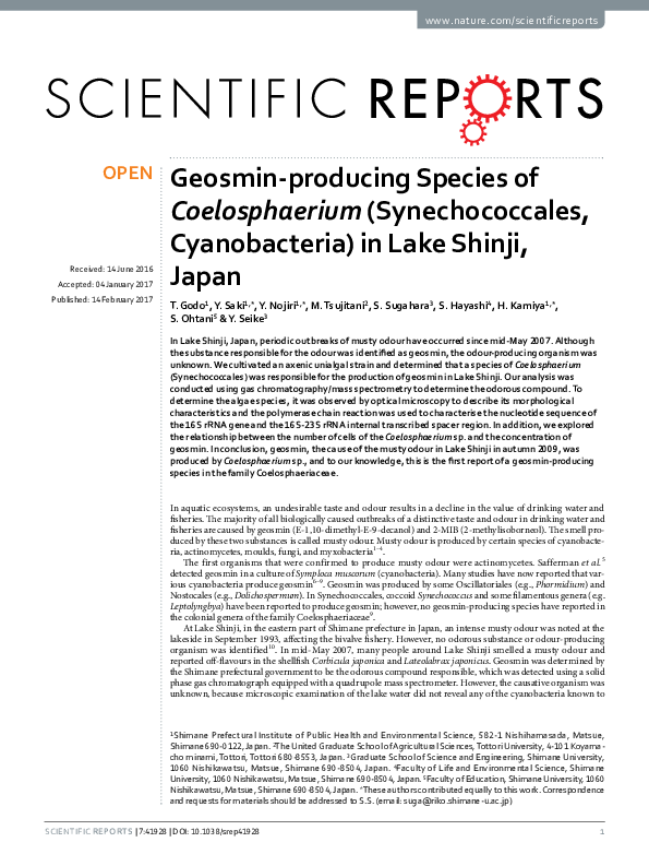 (PDF) Geosmin-producing Species of Coelosphaerium (Synechococcales ...