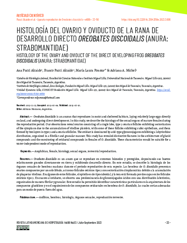 (PDF) HISTOLOGíA DEL OVARIO Y OVIDUCTO DE LA RANA DE DESARROLLO DIRECTO ...