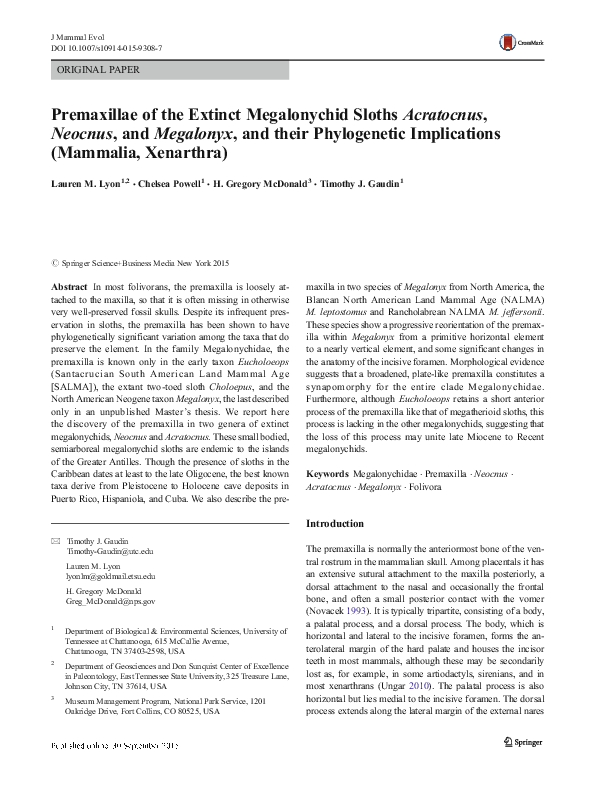 (PDF) Premaxillae of the Extinct Megalonychid Sloths Acratocnus ...