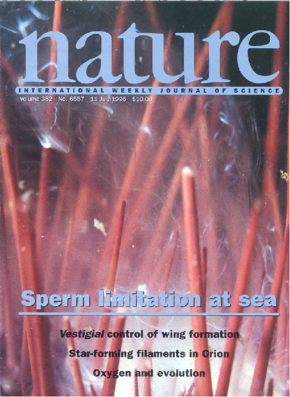 (PDF) Effects of gamete traits on fertilization in the sea and the ...