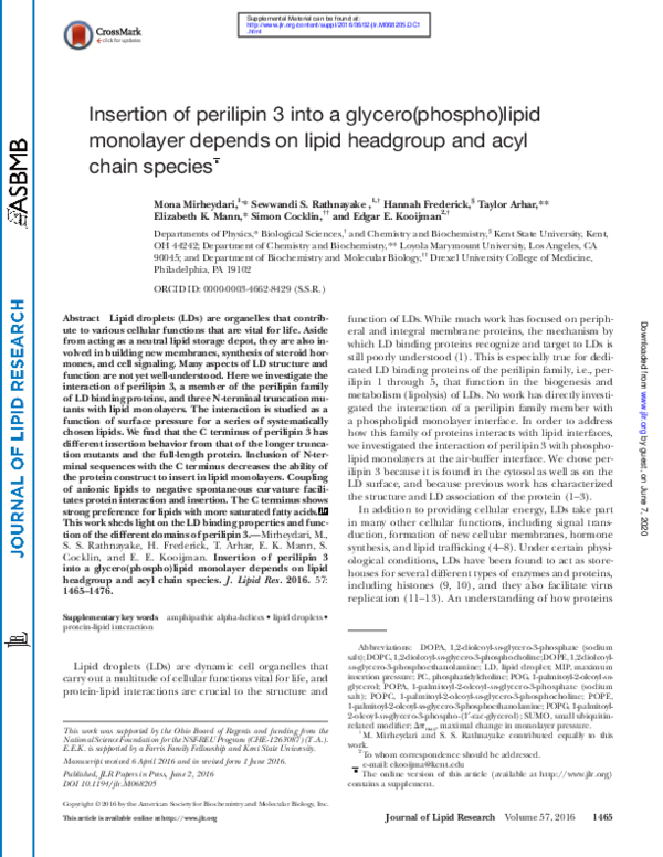 (PDF) Insertion of perilipin 3 into a glycero(phospho)lipid monolayer ...
