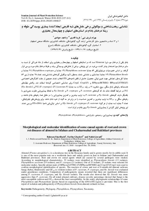(PDF) Morphological and molecular identification of maggots recovered ...