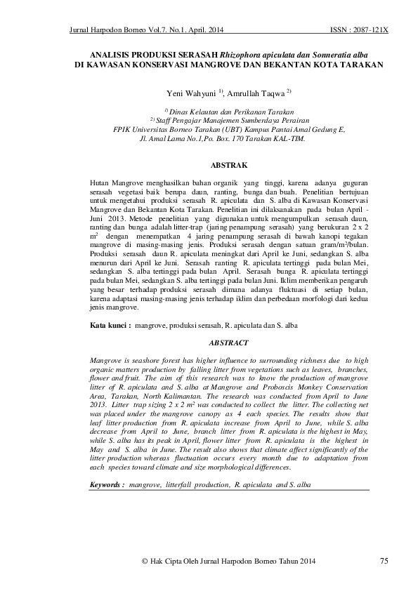 (PDF) ANALISIS PRODUKSI SERASAH Rhizophora apiculata dan Sonneratia ...