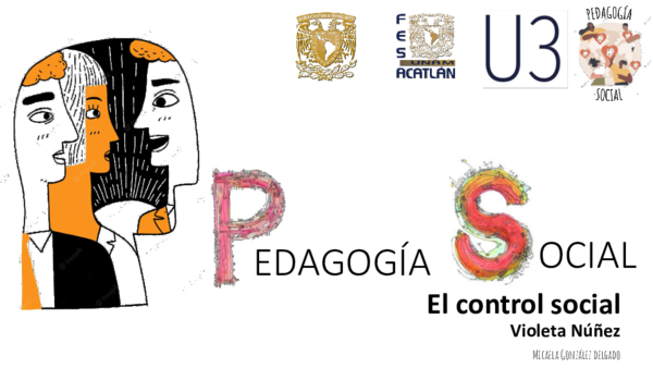 (PDF) El control social