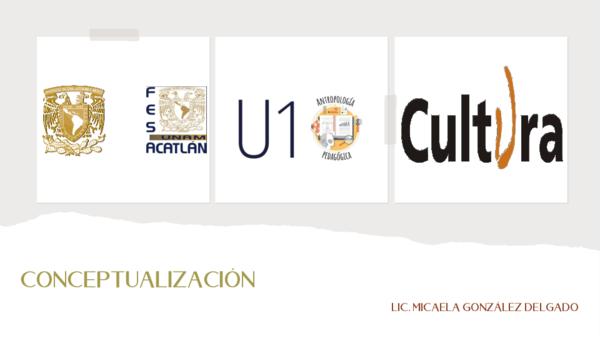 (PDF) CULTURA Antrop Ped sesión