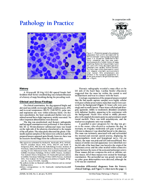 (PDF) Pathology in Practice