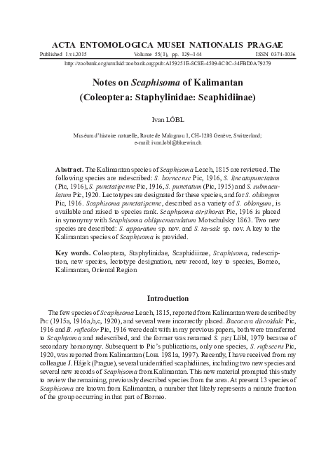 (PDF) Notes on Scaphisoma of Kalimantan (Coleoptera: Staphylinidae ...