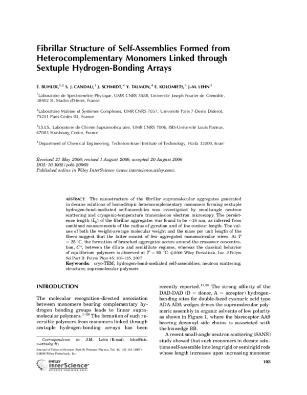 (PDF) Fibrillar Structure of Self-Assemblies formed from ...