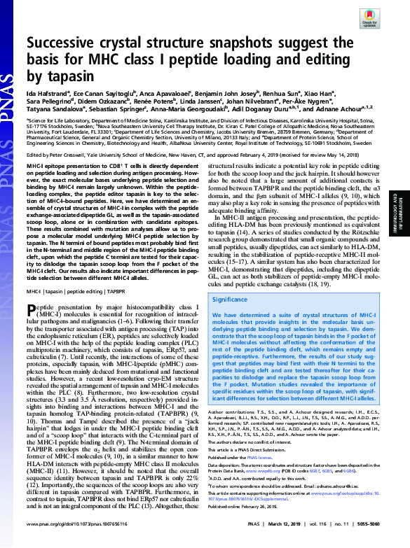 (PDF) Successive crystal structure snapshots suggest the basis for MHC class I peptide loading ...