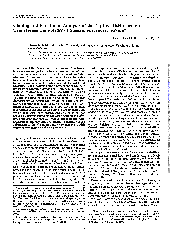 (PDF) Cloning and functional analysis of the arginyl-tRNA-protein ...