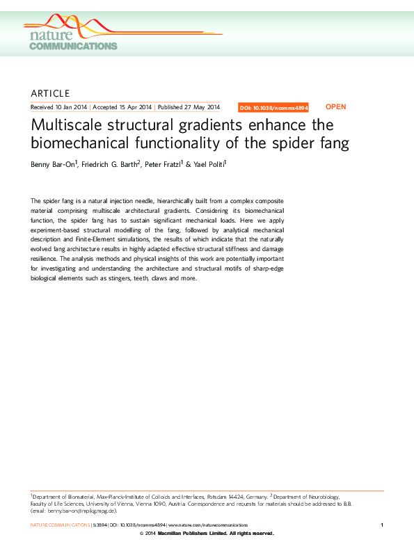 (PDF) Multiscale structural gradients enhance the biomechanical functionality of the spider fang