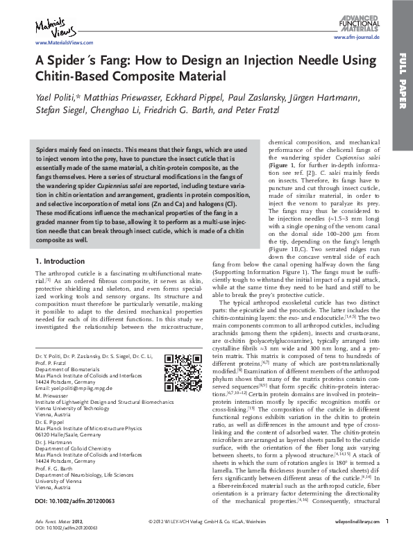 (PDF) A Spider's Fang: How to Design an Injection Needle Using Chitin ...