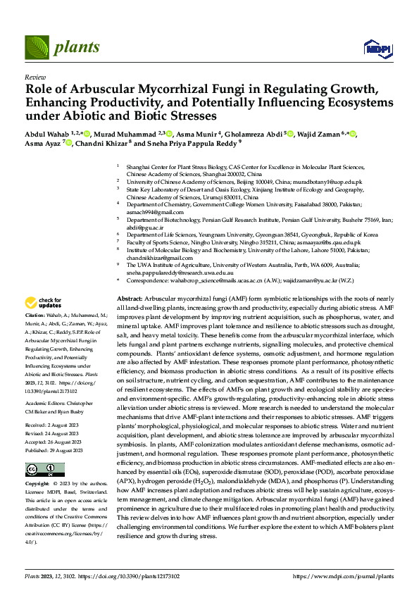 (PDF) Role of Arbuscular Mycorrhizal Fungi in Regulating Growth, Enhancing Productivity, and ...