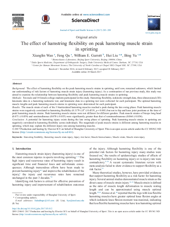 (PDF) The effect of hamstring flexibility on peak hamstring muscle ...