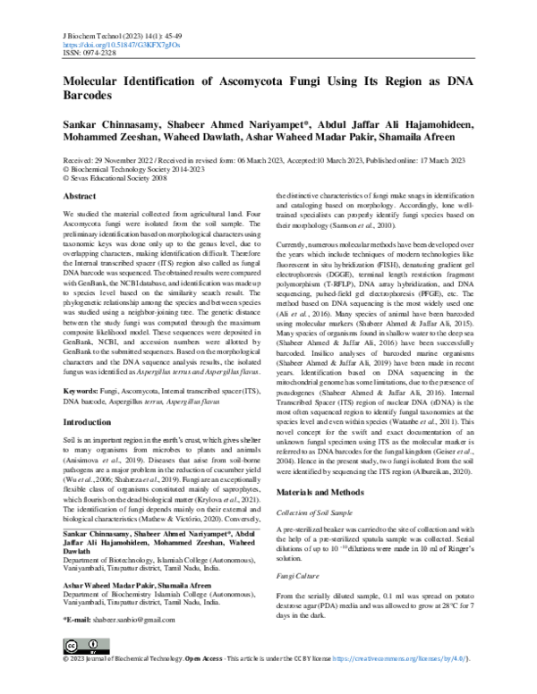 (PDF) DNA Barcoding of Ascomycota Fungi Species
