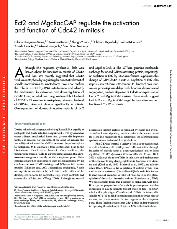 (PDF) Ect2 and MgcRacGAP regulate the activation and function of Cdc42 ...