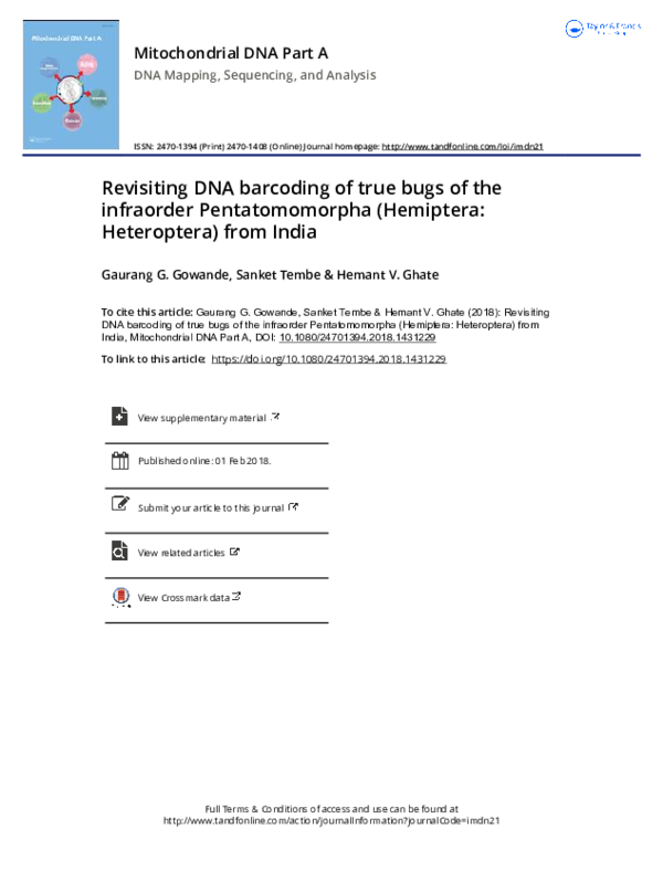 (PDF) Revisiting DNA barcoding of true bugs of the infraorder Pentatomomorpha (Hemiptera ...
