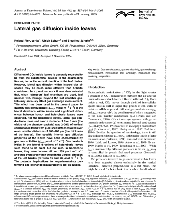 (PDF) Lateral gas diffusion inside leaves