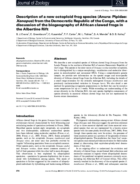 (PDF) Description of a new octoploid frog species (Anura: Pipidae ...