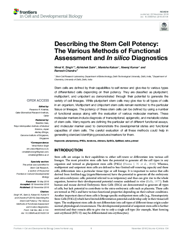 (PDF) Describing the Stem Cell Potency: The Various Methods of Functional Assessment and In ...