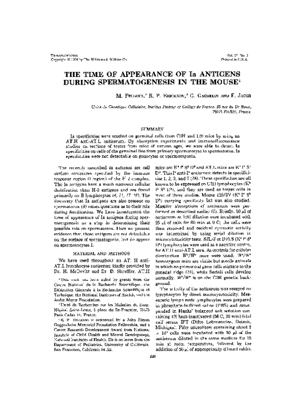 (PDF) THE TIME OF APPEARANCE OF Ia ANTIGENS DURING SPERMATOGENESIS IN ...