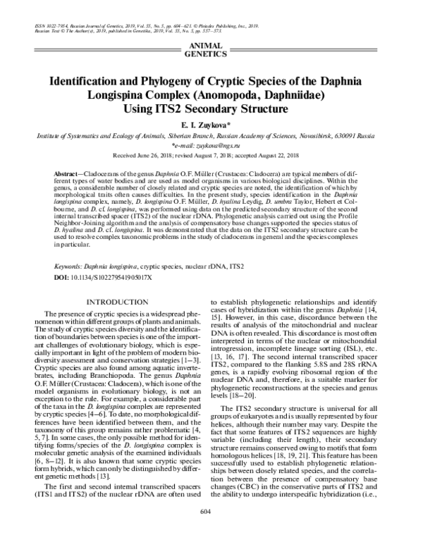 (PDF) Identification and Phylogeny of Cryptic Species of the Daphnia ...