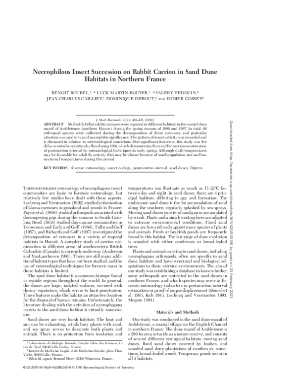 (PDF) Necrophilous Insect Succession on Rabbit Carrion in Sand Dune ...