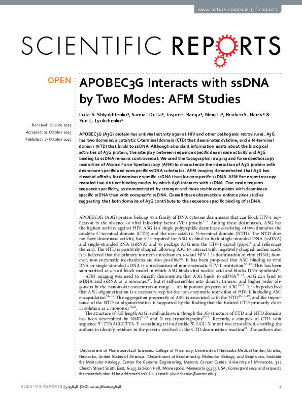 (PDF) APOBEC3G Interacts with ssDNA by Two Modes: AFM Studies