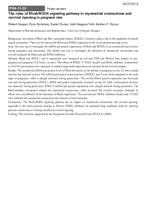 (PDF) The roles of RhoA/ROCK signaling pathway in myometrial ...