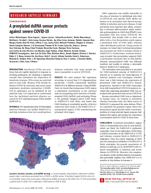 (PDF) A prenylated dsRNA sensor protects against severe COVID-19