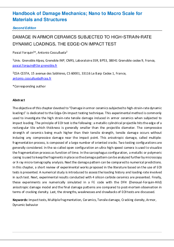 (PDF) Damage in Armor Ceramics Subjected to High-Strain-Rate Dynamic Loadings: The Edge-On ...