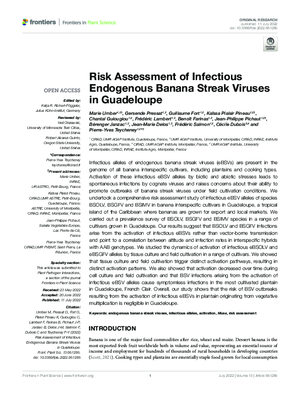 (PDF) Risk Assessment of Infectious Endogenous Banana Streak Viruses in ...