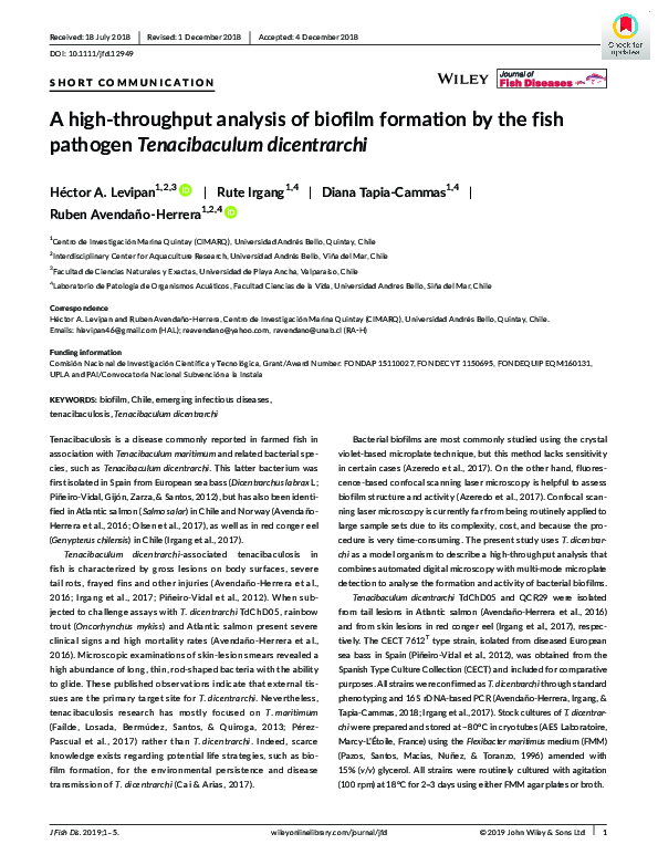 (PDF) A high‐throughput analysis of biofilm formation by the fish ...