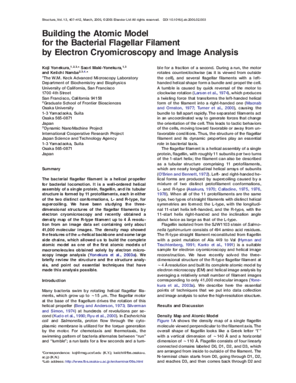 (PDF) Building the Atomic Model for the Bacterial Flagellar Filament by Electron Cryomicroscopy ...