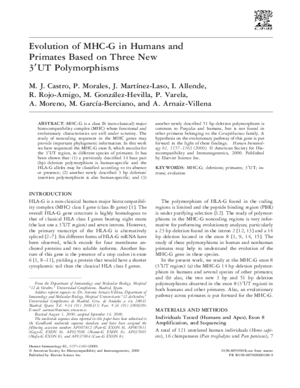 (PDF) Evolution of MHC-G in humans and primates based on three new 3′UT ...