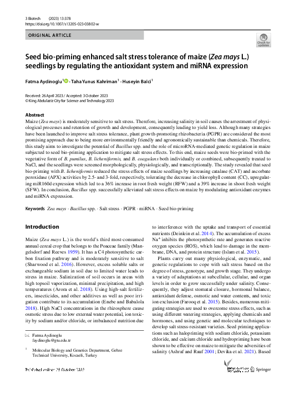 (PDF) Seed bio-priming enhanced salt stress tolerance of maize (Zea mays L.) seedlings by ...