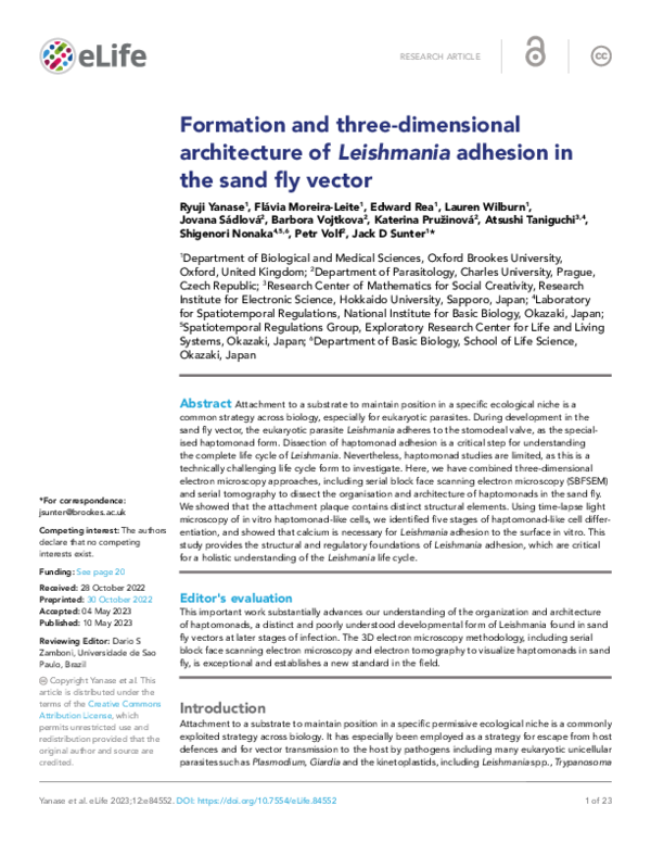 (PDF) Formation and three-dimensional architecture of Leishmania ...