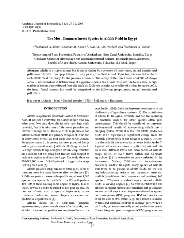 (PDF) The most common insect species in alfalfa fields in Egypt