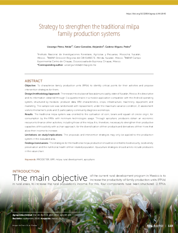 (PDF) Strategy to strengthen the traditional milpa family production ...